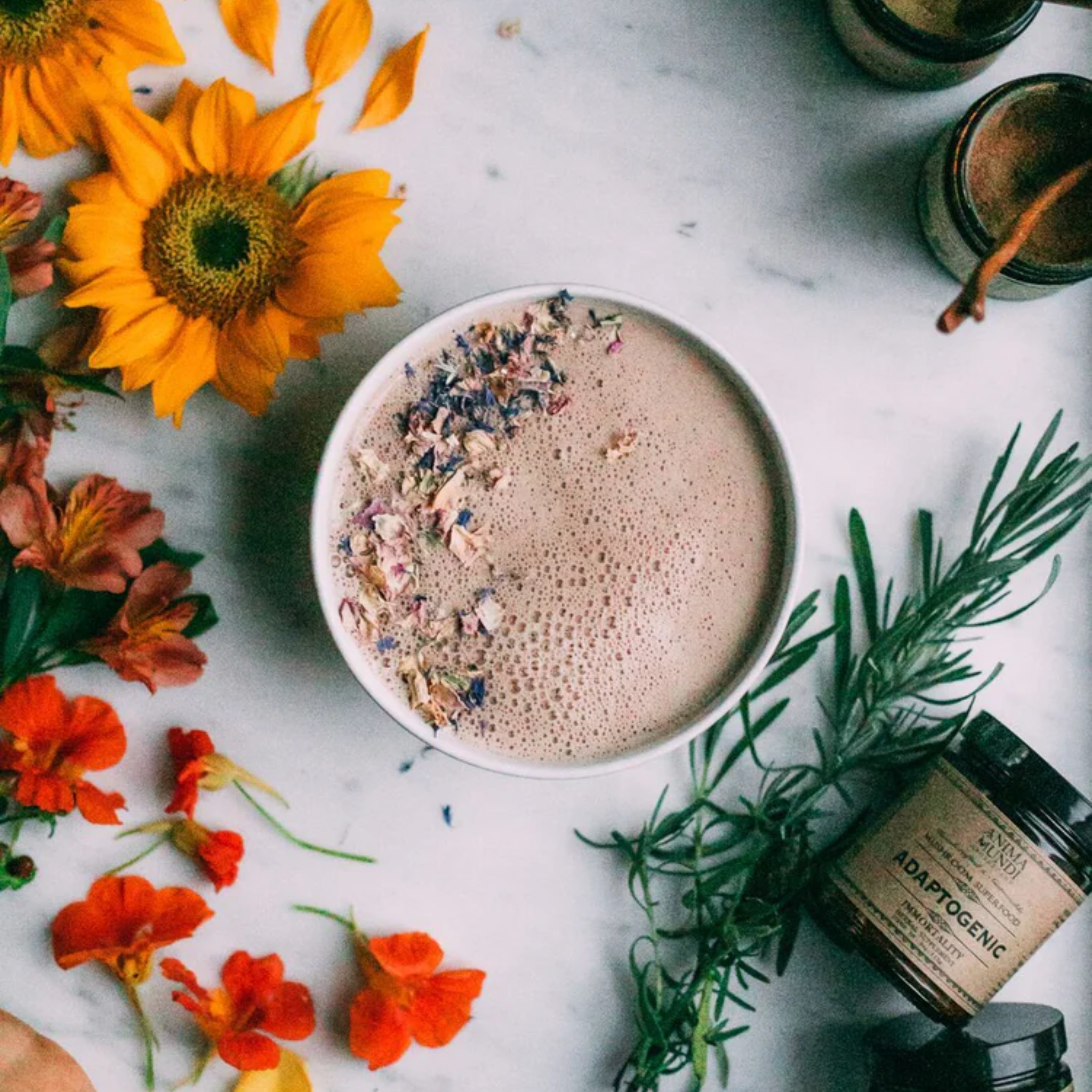 Adaptogenic Powder - 7 Medicinal Mushrooms + Cacao | Good Deeds Market