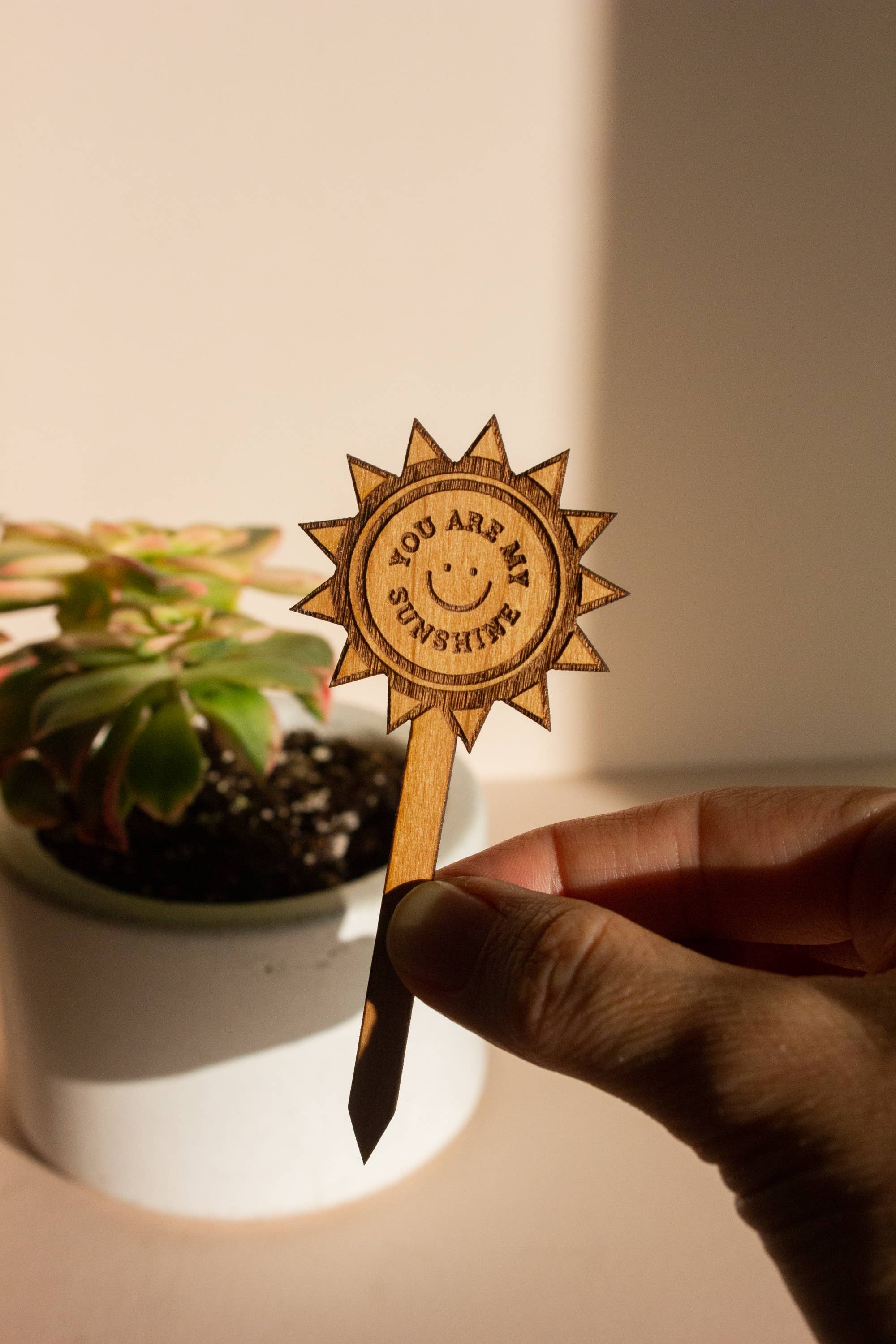 You Are My Sunshine Wood Plant Pick – Good Deeds Market